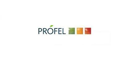 Frozen Vegetable Conference by PROFEL - Frozen Food Europe