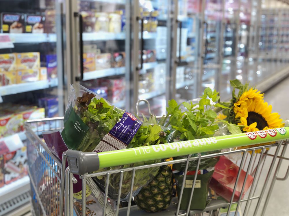 Frozen Processed Food in France: Latent Market Potential - Frozen Food ...